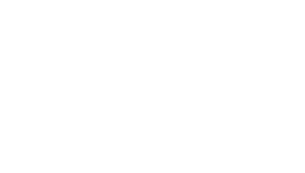 Summit Trading – Your true partner in dry bulk shipping