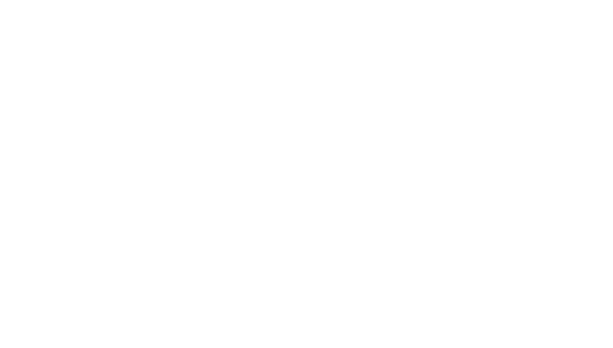 Summit Trading – Your true partner in dry bulk shipping