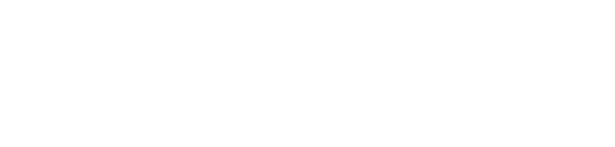 Summit Trading – Your true partner in dry bulk shipping