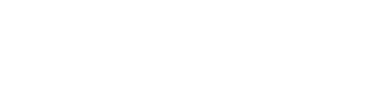 Summit Trading – Your true partner in dry bulk shipping