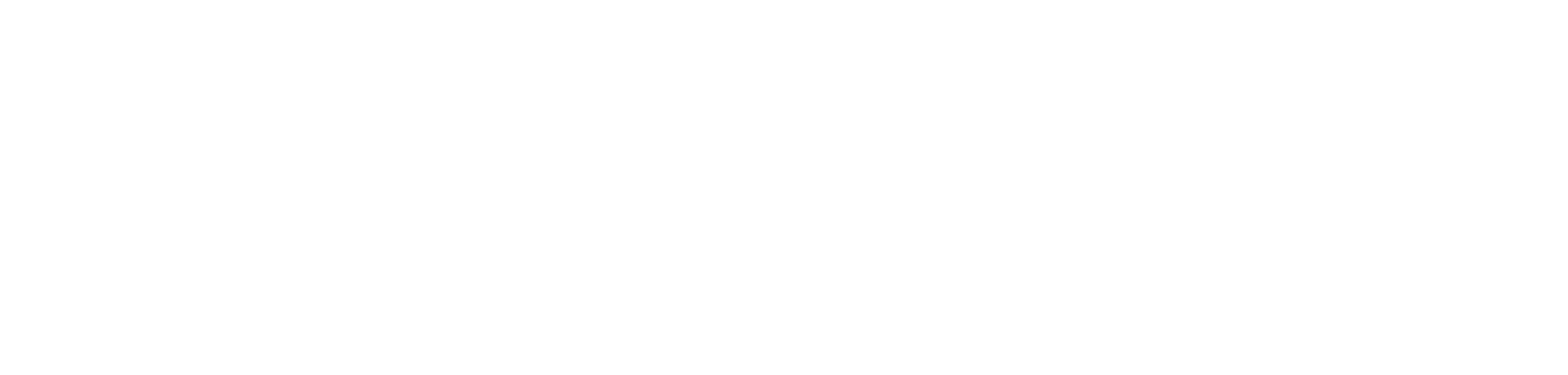 Summit Trading – Your true partner in dry bulk shipping