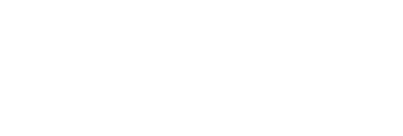 Summit Trading – Your true partner in dry bulk shipping