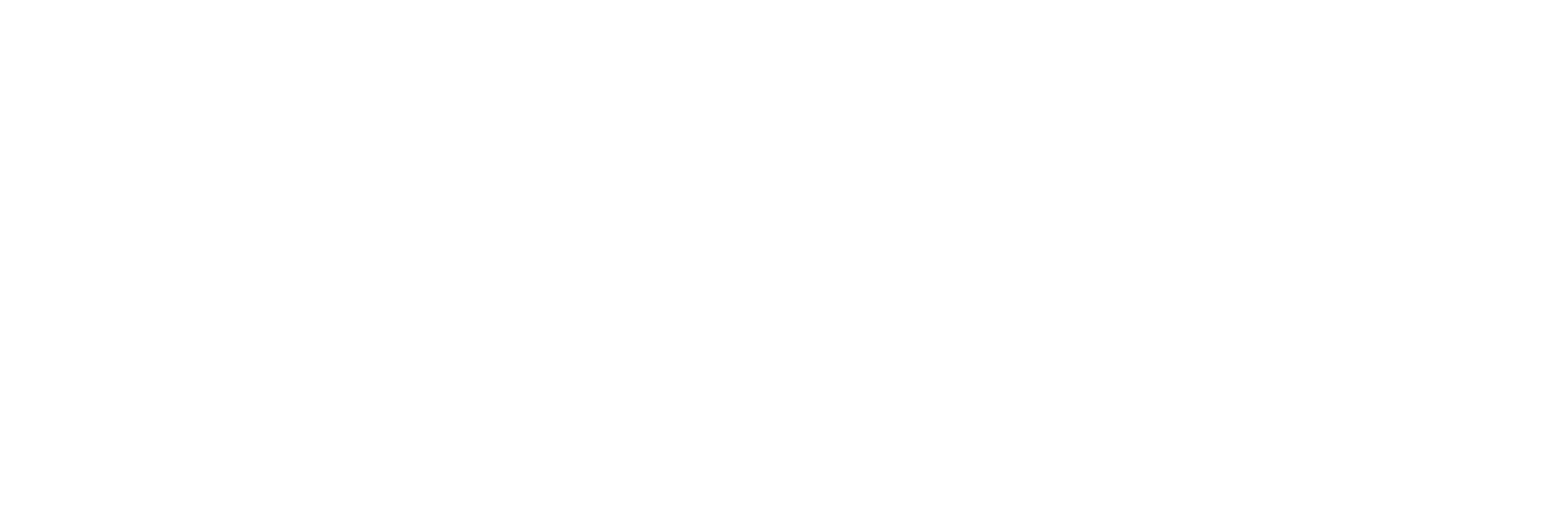 Summit Trading – Your true partner in dry bulk shipping