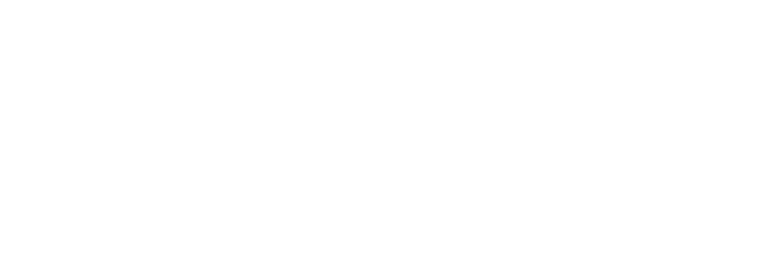 Summit Trading – Your true partner in dry bulk shipping